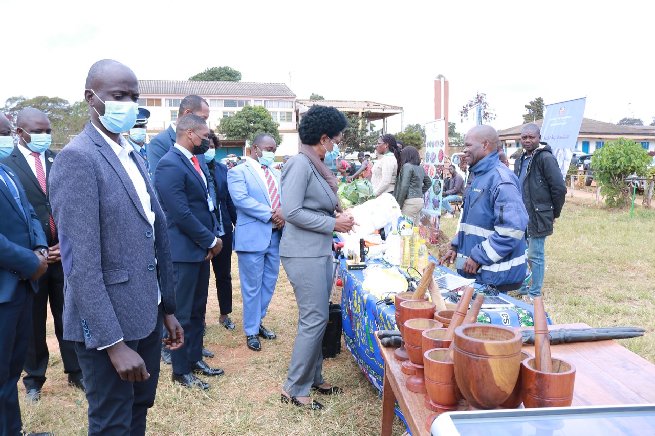 Amélia Muendane destaca papel da mulher no sector produtivo e na ...