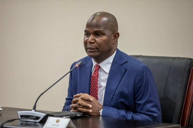 Daniel Chapo é oficialmente o 5º Presidente da República de Moçambique ...