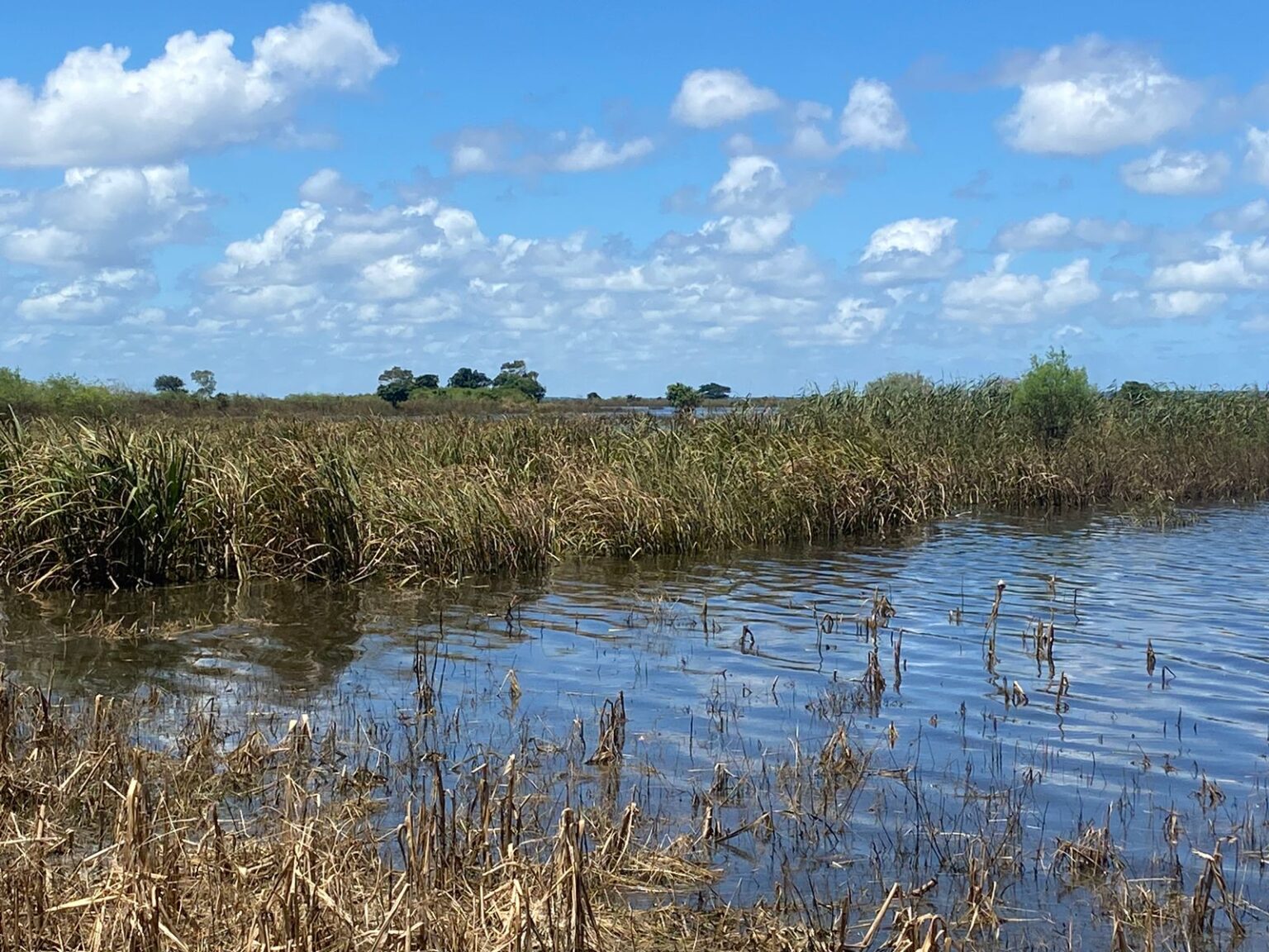Cheias destroem dezenas de milhares de hectares e colocam Província de ...